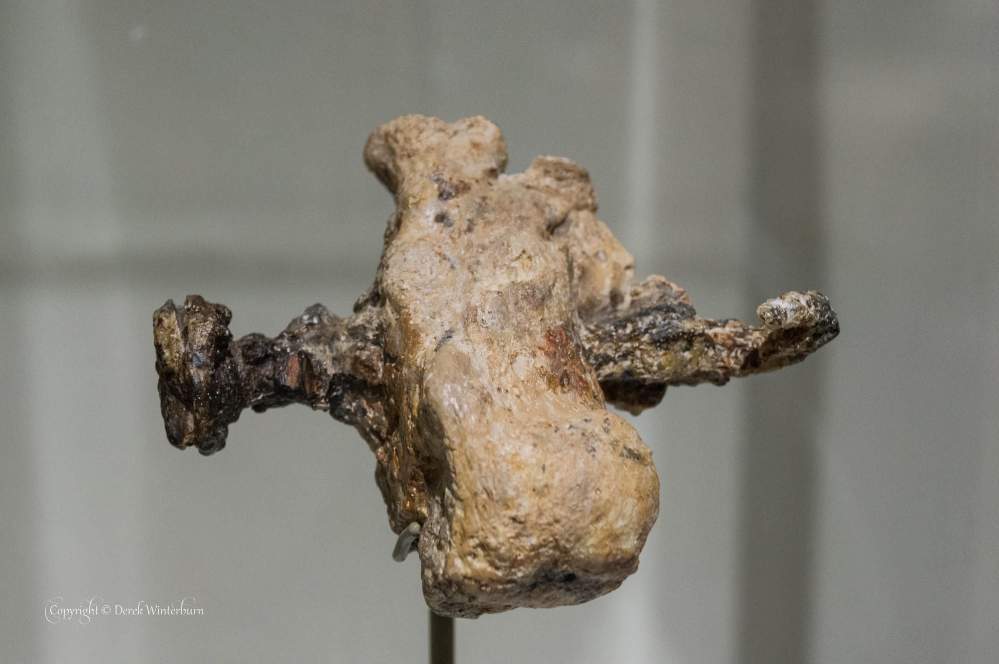 The surprisingly rare archaeological evidence for ancient Roman ...