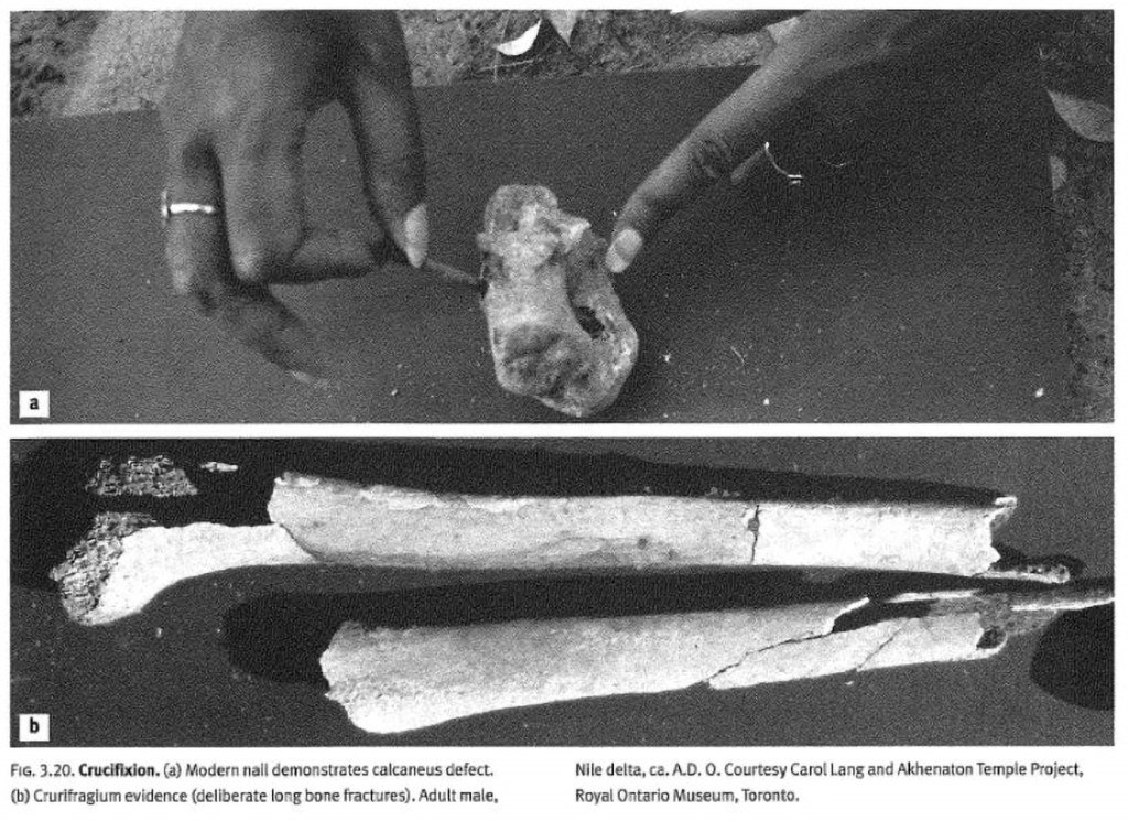 The surprisingly rare archaeological evidence for ancient Roman ...